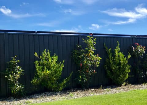Photos of Oscillot® Cat Fencing Installations | CATFENCE
