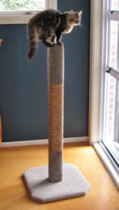 Cat Climbing Post, 1.2m Basic, Made in NZ | CATFENCE