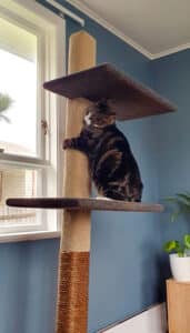 Cat Climbing Post, 1.8m Mega-2, Made in NZ | CATFENCE