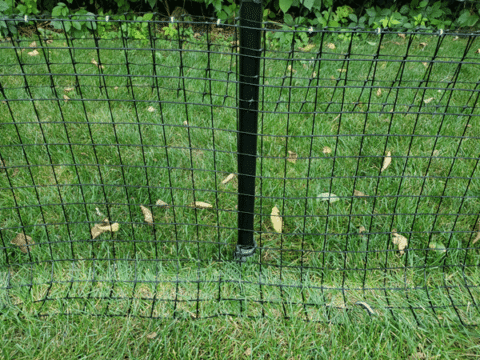 Freestanding Cat Fence from Purrfect Fence | CATFENCE